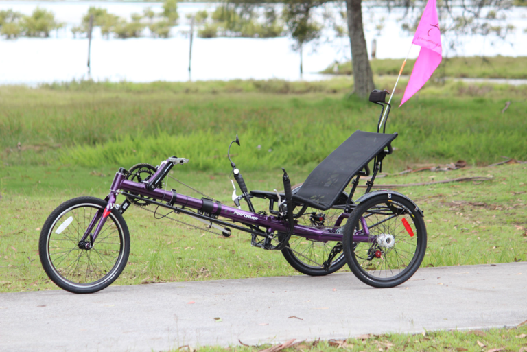CYC's Photon Motor on a Recumbent trike - DT Recumbents Blog